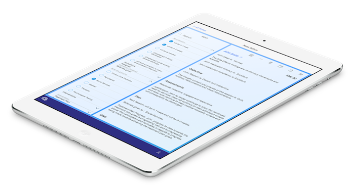 Mimo Progress Notes for Mental and Behavioral Health professionals